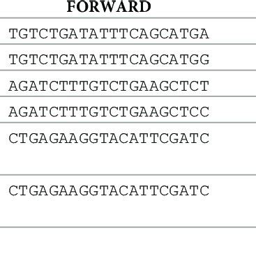 Primer Sequences Forward And Reverse Used To Identify The Mutant And Download Table