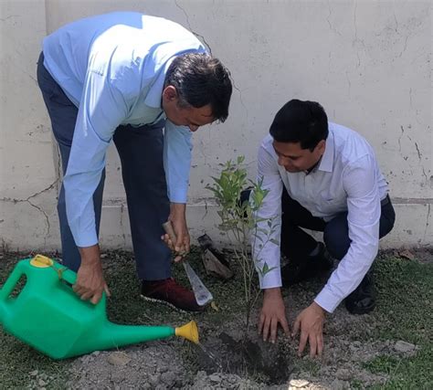 Naveen Gupta On Linkedin Worldenvironmentday2023 Naturelovers