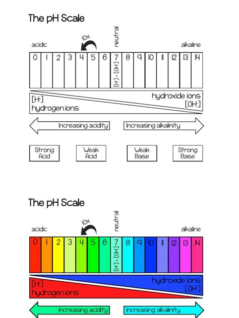 Ph Scale Worksheet Pdf Worksheets Library