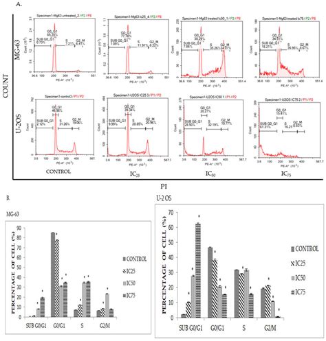 A Cell Cycle Histogram Analysis For MG And U OS After Being Download Scientific Diagram