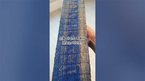 신축 아파트 입주청소 벽에서 나오는 이것 입주 청소를 하는 이유 Youtube