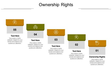Ownership Rights Ppt Powerpoint Presentation Summary Infographics Cpb Presentation Graphics