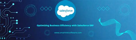 Optimizing Sales Efficiency With Salesforce Crm Smartnet Software