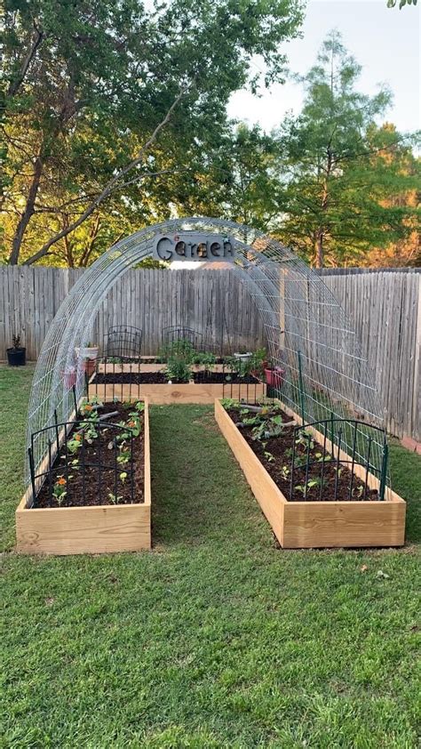 Best 11 How To Build A Bean Trellis That Adds Interest To Your Garden Artofit