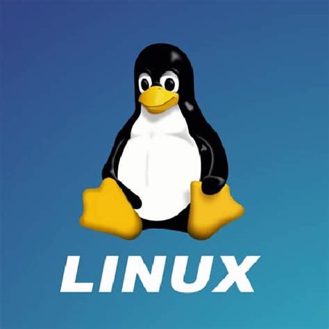 The Evolution Of Linux From Hobby Project To Global Phenomenon