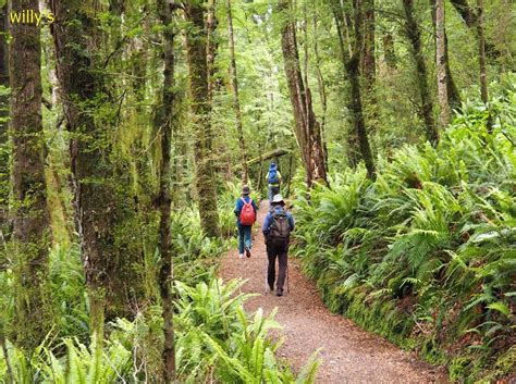 태초의 자연 속으로 뉴질랜드 국립공원 탐방 10일 남섬 스푼의 행복여행 세상에 하나뿐인 여행 브라이트스푼
