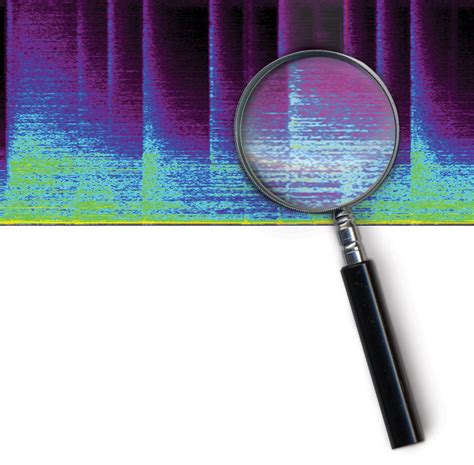 Noise Reduction Tools Techniques