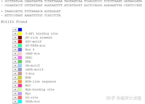 充电课 顺式作用元件分析（基础知识及预测） 知乎