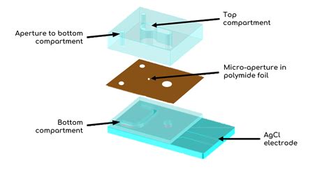 Nanopore Reader Hc Elements