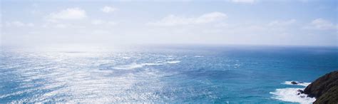 Define The Term Fetch 1 Define The Term Fetch 1