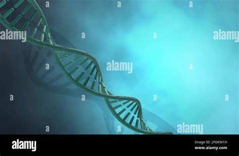 Human DNA Strands Concept With Looping Animation Stock Video Footage Alamy