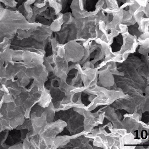 二硫化钼 Mos2 大纳米片分散液 纳米材料合成 定制二维材料 产品关键词二维纳米材料分散液
