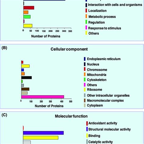 Gene Ontology GO Annotation Localization And Functional Annotation Download Scientific