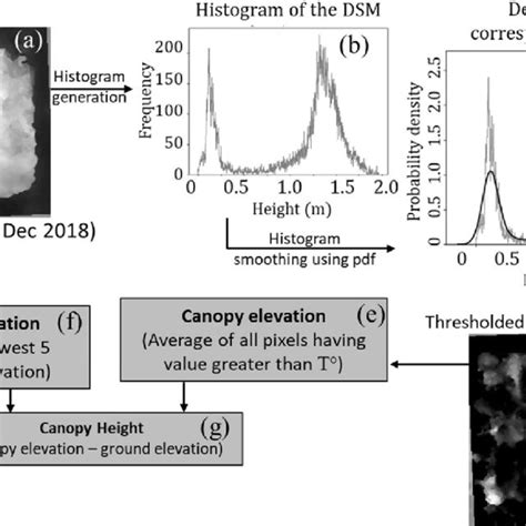 Calculation Of The Actual Area Of A Leaf By Using The Length And Width Download Scientific