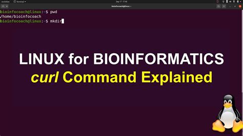Curl Command Explained In Linux For Bioinformatics Youtube