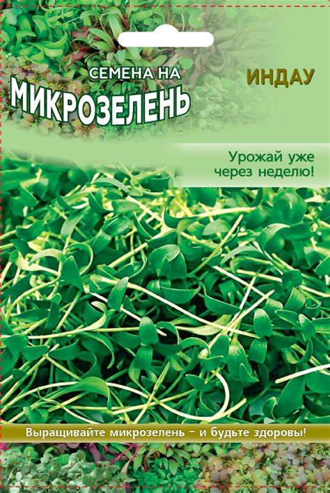 Семена семена купить Интернет магазин семян овощей «Агросемфонд