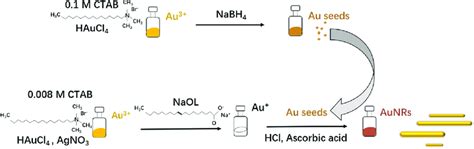 Schematic Representation Of The Aunr Synthesis Process At Low Ctab Download Scientific Diagram