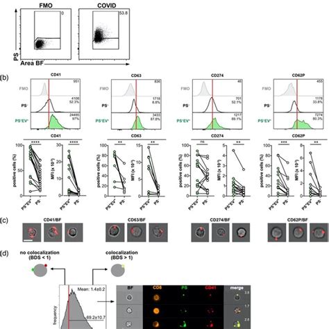 Evs Bound To Cd8⁺ T Cells Originate From Platelets And Pmp Markers