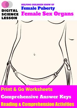 Female Sex Organs Reproductive Anatomy By Digital Science Lesson
