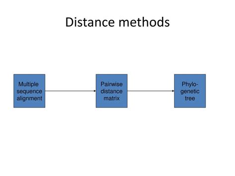 Inferring Phylogenetic Trees Distance Methods Ppt Download
