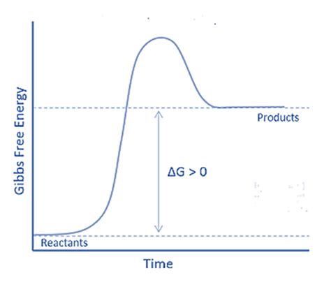 Difference Between Endergonic And Exergonic Reaction