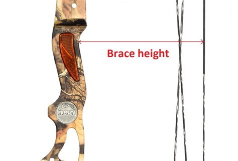 Compound Bows Find The Best Compound Bow For You And Read Our Reviews