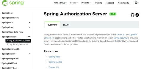 Spring Security怎么自定义授权服务器 开发技术 亿速云