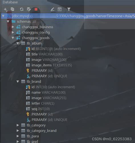 error encountered when performing introspect schema xxx 错误的解决方法 csdn博客
