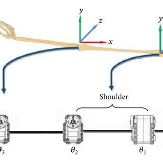 Human Arm And Manipulator Robot Model Download Scientific Diagram