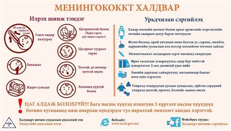 Менингококкт халдвараас ингэж сэргийлнэ