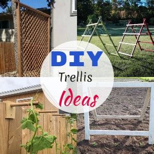 DIY Trellis Ideas For Your Garden DIYnCrafty
