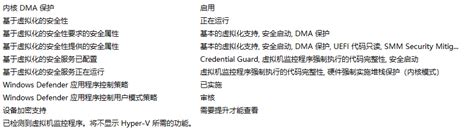 T14 Gen 3 Amd 无法开启固件保护 Microsoft Qanda