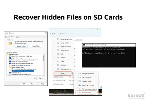 How To Recover Deleted Folders Windows EaseUS