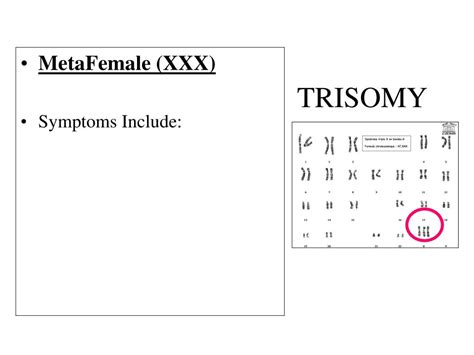 Ppt Meiosis And Sexual Reproduction Powerpoint Presentation Free