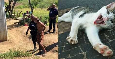 Man Arrested After He Was Caught Having Sex With A Cat Photo YabaLeftOnline