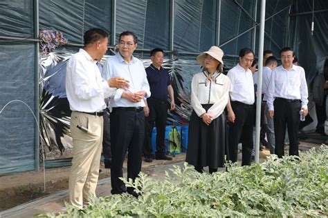 市政协农业和农村委到武清区调研澎湃号·媒体澎湃新闻 The Paper