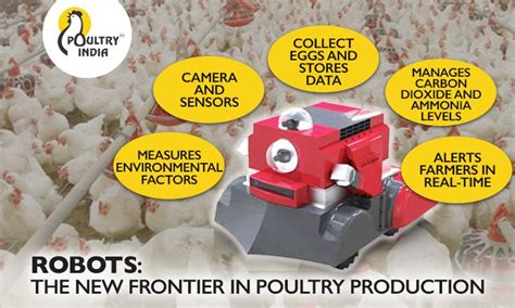 Robots The New Frontier In Poultry Production