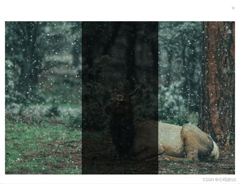 Vue3 Ts 封装图片预览、旋转、上一张、下一张功能vue3 Ts Preview Csdn博客