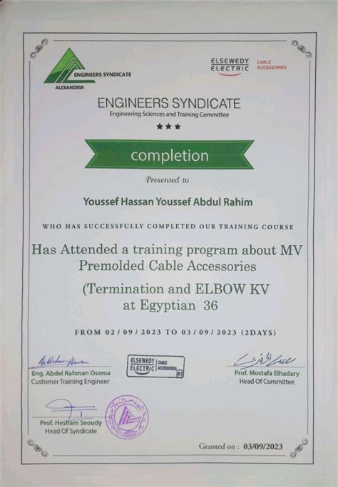 Youssef Hassan On Linkedin Successfully Complete Training Program With