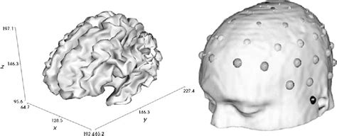 Figure 1 From Comparison Between Realistic And Spherical Approaches In Eeg Forward Modelling