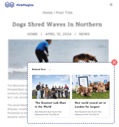 Related Post Plugin For WordPress PickPlugins