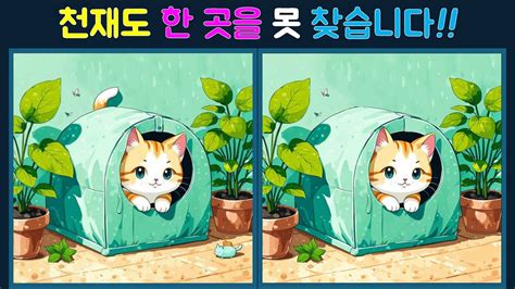 【다른그림찾기치매예방】천재도 한 곳을 못 찾습니다【틀린그림찾기기억력향상숨은그림찾기find The Difference】203 Youtube
