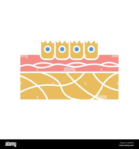 Extracellular Matrix Black Line Icon Vector Isolated Element Editable Stroke Stock Vector