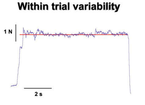 lecture 7 motor unit output variability flashcards quizlet