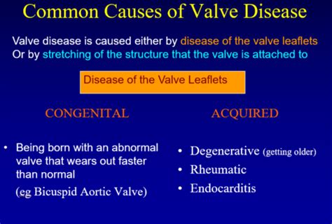 Valve Disease 1 Aetiology And Pathophysiology Flashcards Quizlet