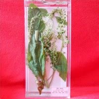 动物标本 蝴蝶标本 昆虫标本 植物标本 新乡市禾力教学设备有限公司