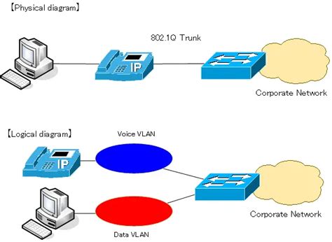 Voice VLAN VLAN For Connecting IP Phones VLAN Virtual LAN N Study