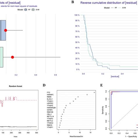 Construction Of The Random Forest Rf Model And Support Vector Machine