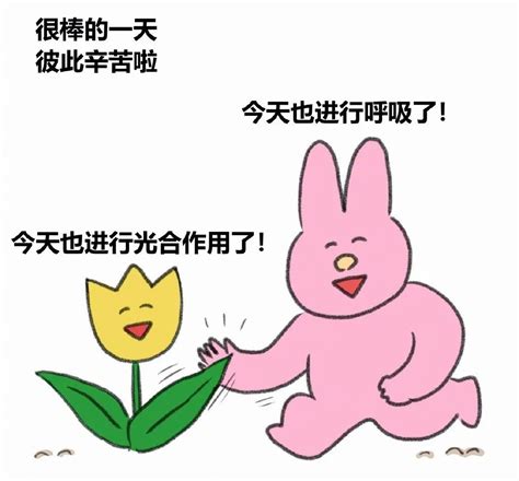 福州台江医院精神心理科：心理小漫画系列，教你停止内耗 哔哩哔哩