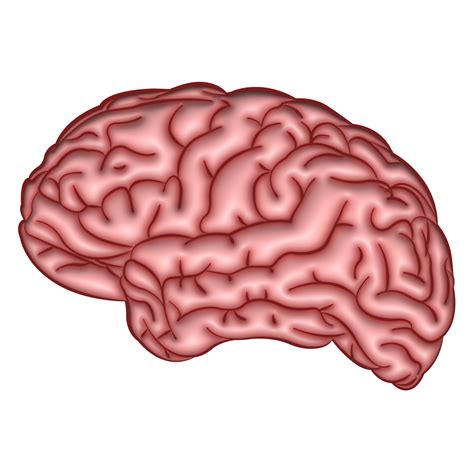 Digital Brain Png